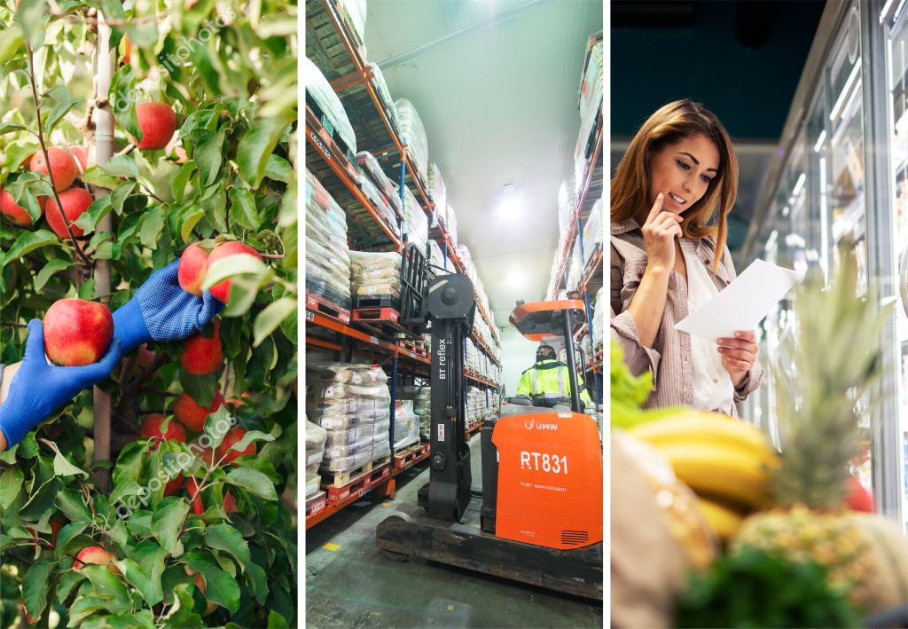 Cold Chain – Gold Cold